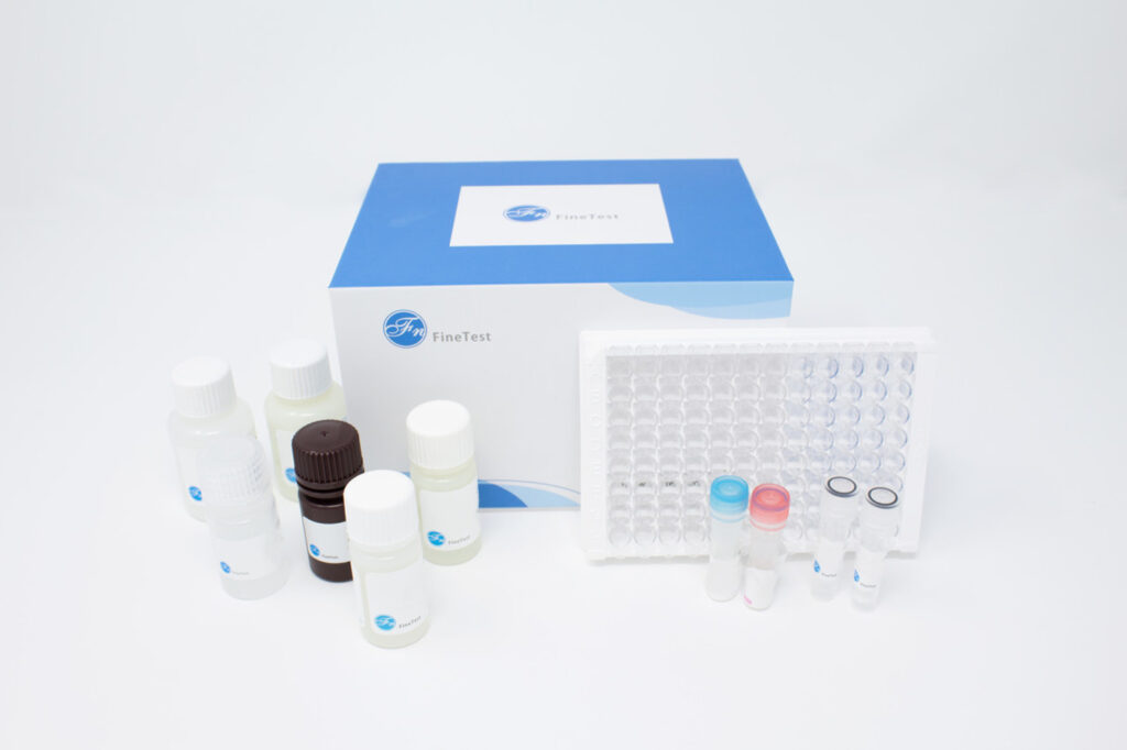 Biotin ELISA Kit - Wuhan Fine Biotech Co., Ltd.
